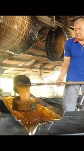 11M views · 8.2K reactions | Coconut Sugar Making Process #coconutsugar  google maps https://maps.app.goo.gl/t8LdBcCXgWShEP6e9 เตาไทยเดิม2 Coconut sugar house Thailand | Travelicious | Facebook
