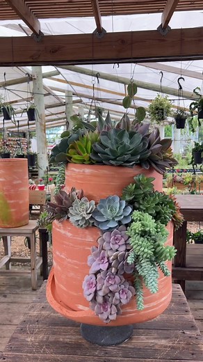 Isaacfarms on TikTok