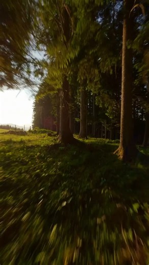 LUCAS BUCHEGGER | CREATOR | The definition of freedome 🥹 #fpv #drone #dji | Instagram