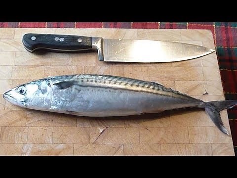 How to clean and prepare fish before cooking ( How to gut a fish ) How to clean fish with Ease!