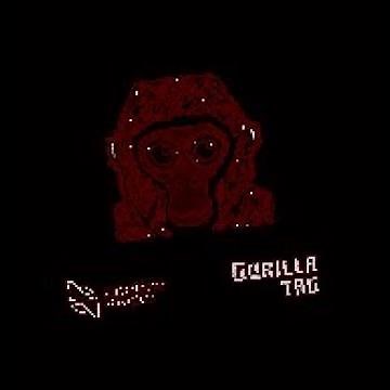 Auth Gorilla Tag Boot Error