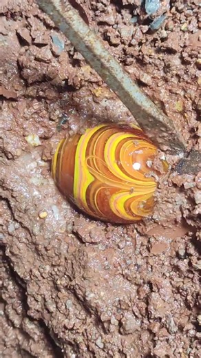 158K views · 1.2K reactions | Rainbow Beach's Crystal Secrets: Agates, Gold, and Hidden Treasures Await | Gold Amazing | Facebook