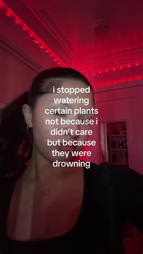 Understanding Plant Overwatering Issues