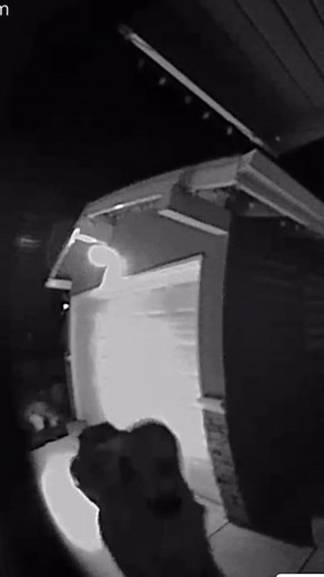 Caught in the Act | Mail Theft on Camera!   Shocking footage!...