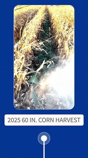 🎥 Harvesting the 60” Cover Crop Project — October 23 at the CLC Ag & Energy Center 🌽 After a full season of growth, our 60-inch corn and interseeded cover crop trial reached harvest! The wider rows gave us room to explore how living cover can thrive between the corn — improving soil health, encouraging biodiversity, and extending plant life beyond the main crop. This project is part of the C2A3 partnership with the USDA Natural Resources Conservation Service, connecting colleges and conservati