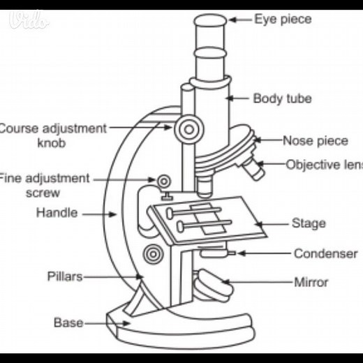 parts of compound microscope
