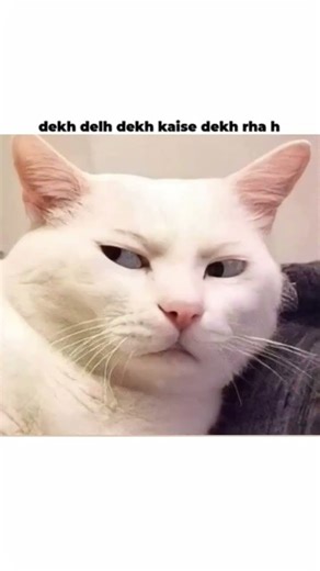 padhle 😂 #comedy #funny #memes #viral #youtubeshorts #tranding