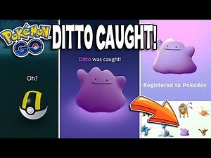 DITTO CAUGHT IN POKEMON GO!! Ditto Confirmed Added To Pokemon GO - How To Find Ditto