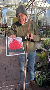 149 reactions · 6 comments | #add WEBSHOP https://.ecwid.com ACER...