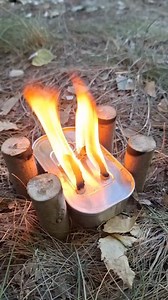 194K views · 946 reactions | Survival Skills #trap #forest #outdoors #survival #skills #craft #camping #campinglife #tips | Trap Three | Facebook