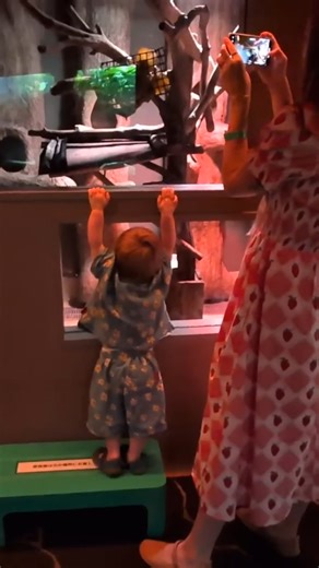 147K views · 5K reactions | Taking Bjorn to the aquarium!  | PewDiePie | Facebook