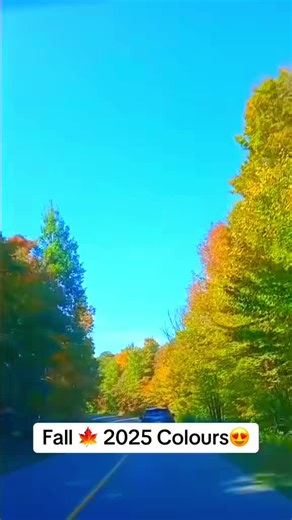 Explore Fall Colors Through Afar Music 2025