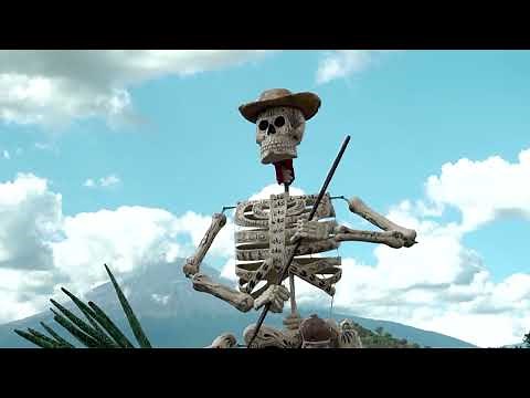 What is Day of the Dead and how is it celebrated? | REUTERS