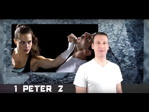 1 Peter Chapter 2 Summary and What God Wants From Us