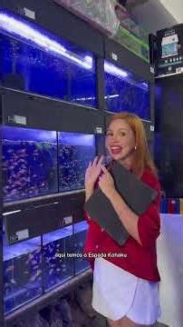 BUYING FISH FROM MY BEACH! 🐟✨