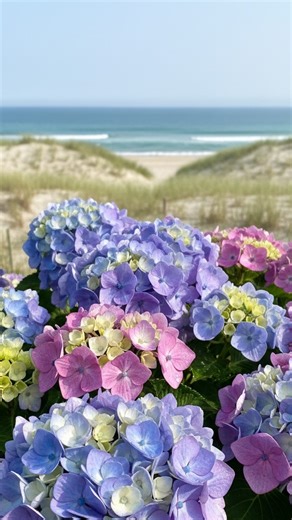 Ellie Mont on Instagram: "There are days when life feels like a war you cannot win. The weight of everything presses down on your chest. The pain is constant, gnawing, relentless. Every step forward feels impossible, and some mornings you wake up wondering if you can even get out of bed. You feel small. You feel unseen. You feel tired in a way sleep cannot fix. And yet… somehow… you rise. You rise not because you are strong. Not because the pain is gone. Not because you suddenly feel brave. You 