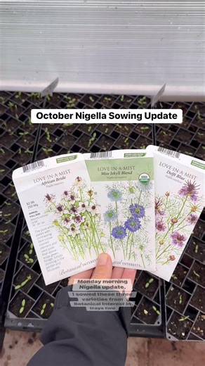 October seed sowing for a Spring cut flower garden has begun! Nigella, my favorite dual purpose flower, is always on the yearly fall sow list! To read more about Nigella, I’ve written a blog post linked in comments! | Blooming Joy Flower Company