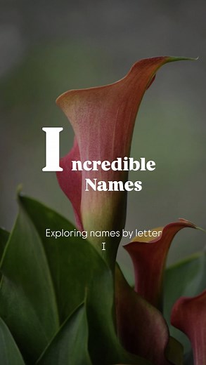 May | Baby Name Consultant on Instagram: "Looking through thousands of baby names to find the one? I love to! 🤓 So here it is, a list from the Top 1,000s baby names in the USA plus my added fresh finds, and handpicked a blend of classic, gender-neutral, and totally under-the-radar baby names starting with I. The name series by the alphabet gives me such an insight to sounds and letter people gravitates towards. Have you ever noticed a letter you’re drawn to? I’d love to hear it! I definitely ha