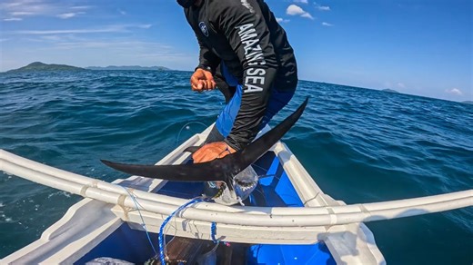 The Battle With Countless Tuna Begins!