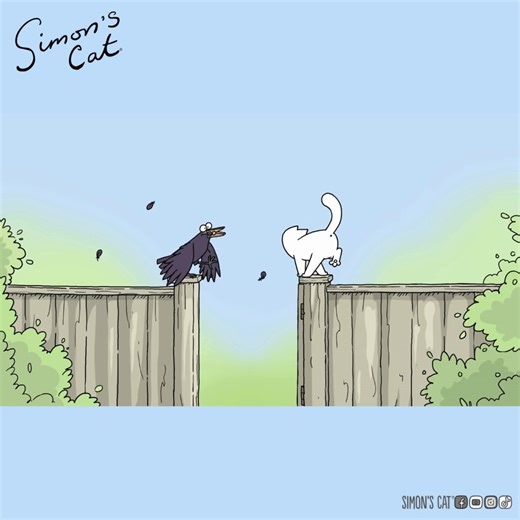 1.6M views · 37K reactions | No rest for the wicked! | Simon's Cat | Facebook