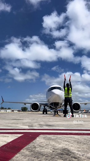 Airport Marshalling Process Explained