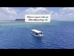 🌊 Dive into paradise with our Dive-Only Package!