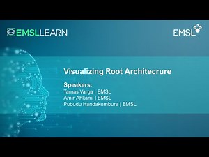 Visualizing Root Architecture | EMSL LEARN Webinar Series
