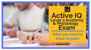 Active IQ Level 3 Anatomy and Physiology Exam: What you need to know