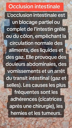 Occlusion intestinale....: comment faire le traitement !? #hernie #opinion #diabetes #santé | La médecine traditionnelle africaine