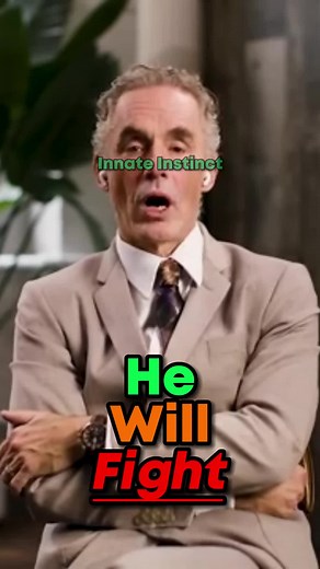 He Will Fight #fyp #fp #fypシ #jordanbpeterson #mindset #motivated #fight #political #psychology