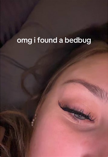 Discover the Cutest Bedbug Ever!