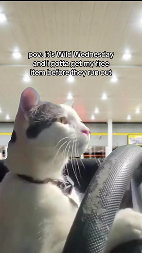 9K views · 268 reactions | Y’all know what day it is!!! Get there while supplies last and redeem using your Hotspot Rewards app ☄️Body Armor Flash IV | HotSpot Convenience Stores | Facebook