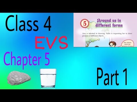 Class 4 EVS Chapter 5 | Around Us in Different Forms | Explained in Simple Way | Kerala Syllabus