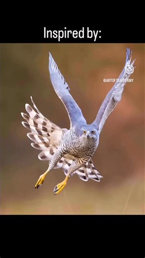 Art of Taxidermy on Instagram: "Goshawks are one of the most agile hawks in the Accipiter world. Their high speed and agility allows them to hunt for their prey in the dense wood . Here I’m trying to replicate a pose off of a wild goshawk photo in my reference. #goshawk #hawking #hawks #accipiter #falconry"
