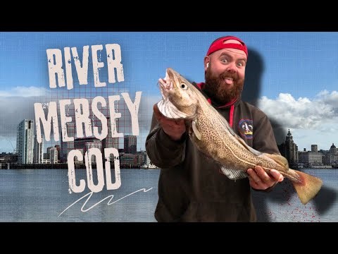 River Mersey COD HUNT!!! MISSION COMPLETE 🎣