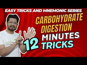 Carbohydrate digestion easy tricks to remember | Carbohydrate digestion enzymes
