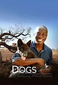 Dogs: An Amazing Animal Family (2017) - TV Show