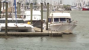 5.6K views · 49 reactions | 4 P.M. ELSA UPDATE: Wind and rain are picking up in Darien, Georgia as #TropicalStormElsa has put much of Coastal Georgia under a tornado watch. The latest forecast: https://bit.ly/2SU45LN Brooke Butler WJCL | WJCL News | Facebook