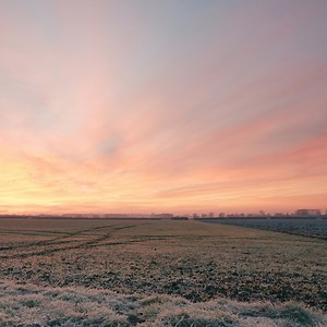 Listeso String Quartet Concert & Tour History (Updated for 2026) | Concert Archives