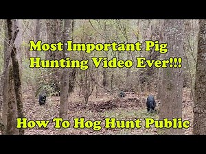 How To Hog Hunt Public Land Most important pig hunting video ever
