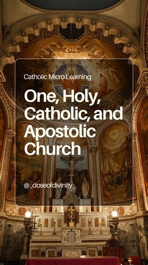 “One, Holy, Catholic, Apostolic” isn’t symbolic language. It’s a theological claim about Christ’s Church — unity, holiness, universality, and apostolic continuity. Follow for Catholic teaching without slogans or spin. #Catholic #Creed #FaithExplained