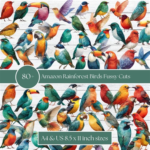 80  Amazon Rainforest Birds Fussy Cuts, Tropical Bird Clipart, Junk Journal Ephemera, Printable A4 & US Letter - Etsy Australia