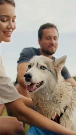 Dog Training Bloopers: The Good, The Bad & The Hilarious