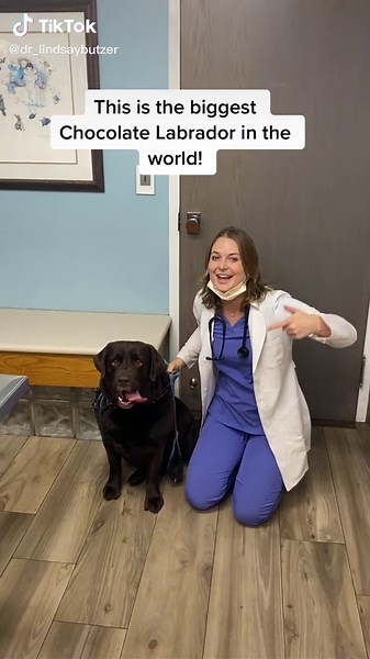 Dr. Lindsay Butzer on TikTok