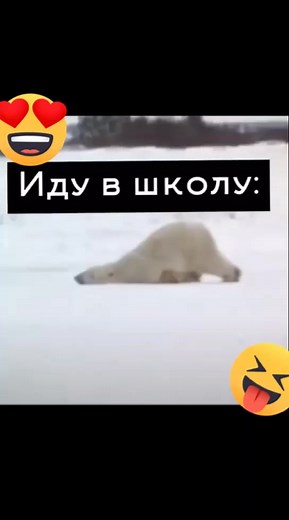 SpRiNtEr_Brawler💪😈 (@vip_leon4ik)’s videos with оригинальный звук - SpRiNtEr_Brawler💪😈