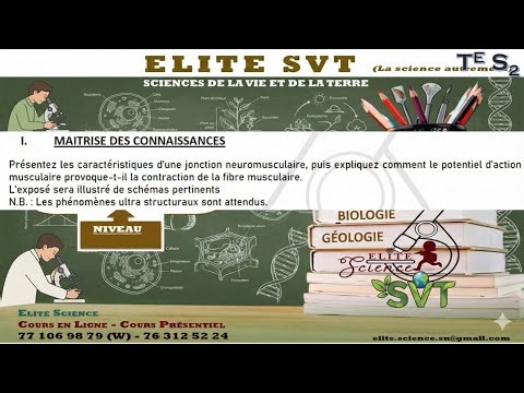 🧬 Life and Earth Sciences: Muscle Activity (Correction of Exercise 1 Marathon Test) - Year 12 S2 |