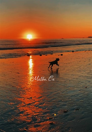 Malibu,Ca home away from home #malibu#sunset#dogbeach#socal#fypppp