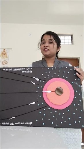 Know About Fertilization ! Human Reproduction #fertilization