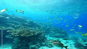 Underwater view from submarine window showing coral reefs and various fish in a vibrant blue ocean.