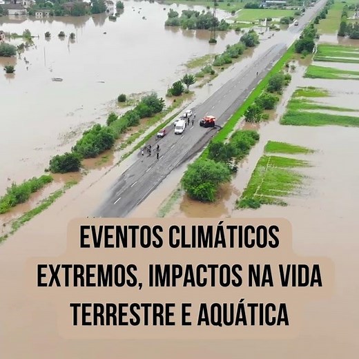 Ação Contra a Mudança Global do Clima - ODS 13